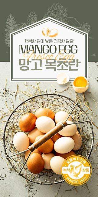 망고보드 템플릿 카드뉴스와 상세페이지 그리고 인포그래픽 등 음식 포스터 디자인 음식 음식 포스터