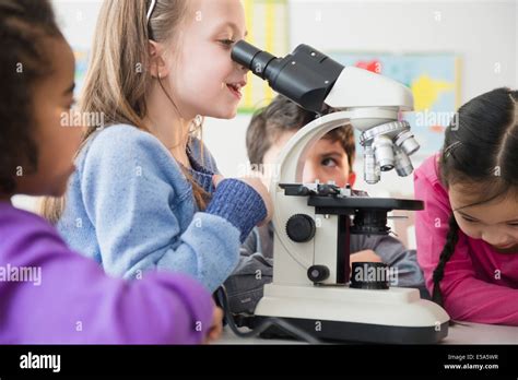 Microscopes For The Classroom At Joel Norris Blog