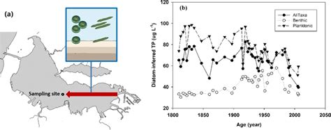 Sediment Core Sampling And Diatom Based Reconstruction In Muskegon Download Scientific Diagram