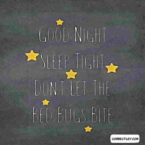 20 Funny Responses To Dont Let The Bedbugs Bite