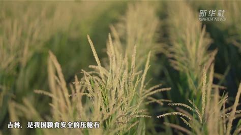 黑土地保护上新啦 凤凰网视频 凤凰网