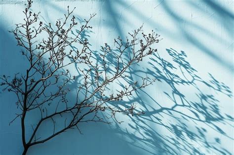 Premium Photo A Tree Casts A Shadow On A Wall