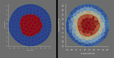7 Signal Propagation A Initially The Cells At The Center Which Are Download Scientific