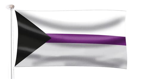 Demisexual Pride Flag Hampshire Flag Company