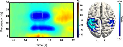 Left Grand Averaged Time Frequency Spectrogram Taken From A Download Scientific Diagram