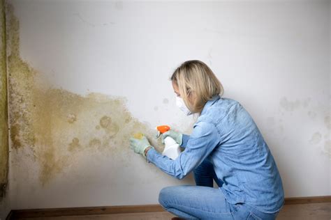 How To Renovate Safely When You Run Into Unexpected Bugs Mould And