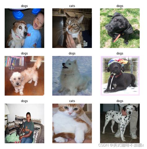 06 迁移学习：用基于 Imagenet 训练的权重的 Mobilenet V2 模型进行猫狗分类imagenet训练带权重文件 Csdn博客