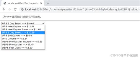 保姆级自动化测试教程 Selenium java java自动化测试 CSDN博客