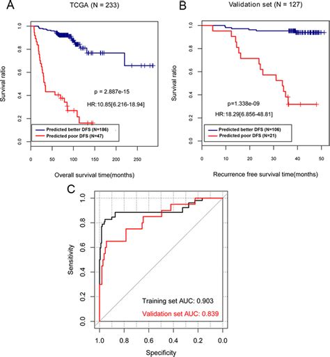 The KM Curves Of The Correlation Between The Classification Groups In Download Scientific