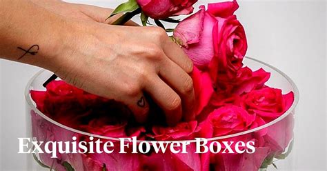 Federica Ambrosinis Plexi Flower Boxes