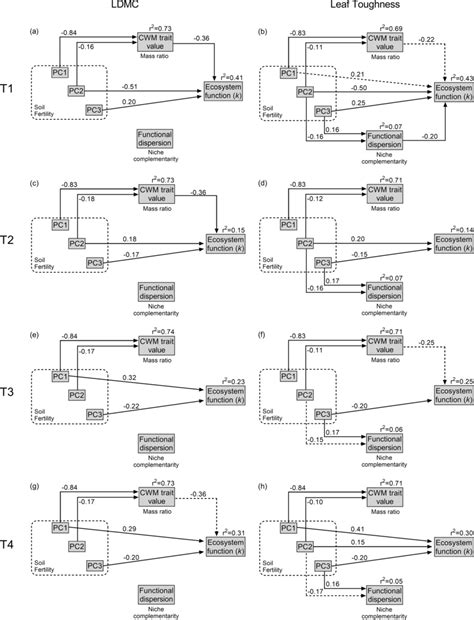 Structural Equation Model Testing The Relative Importance Of Cwm Traits