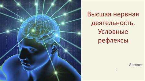 ВЫСШАЯ НЕРВНАЯ ДЕЯТЕЛЬНОСТЬ Условные и безусловные рефлексы Торможение условных рефлексов