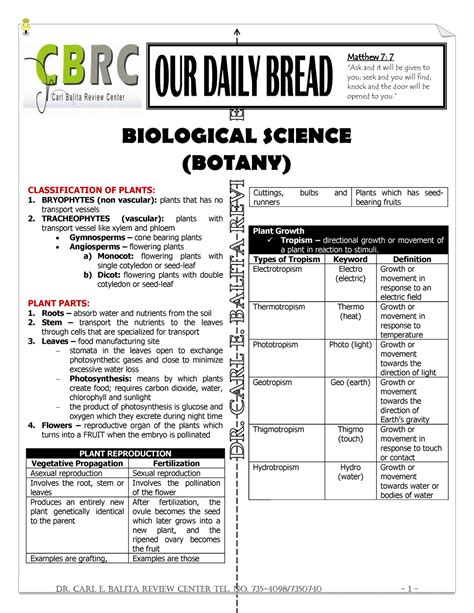 ODB Bio Botany Lecture Notes Matthew Ask And It Will Be Given To You Seek And Studocu