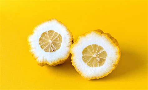 Citrus Fruits List Types Of Citrus You Didn T Know Facts Net
