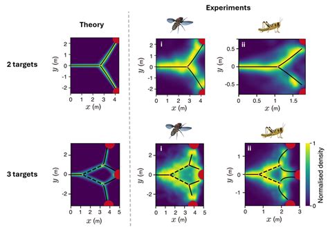 Spin Model For Decision Making Nir Govs Lab