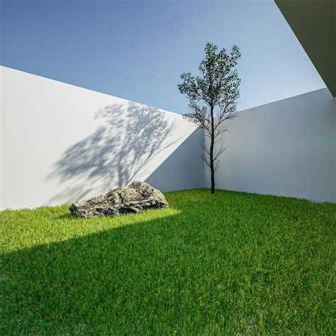 Premium Photo 3d Rendering Grass Garden With Tree And Wall
