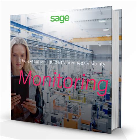 The Executives Guide To Business Visibility Monitoring Sage