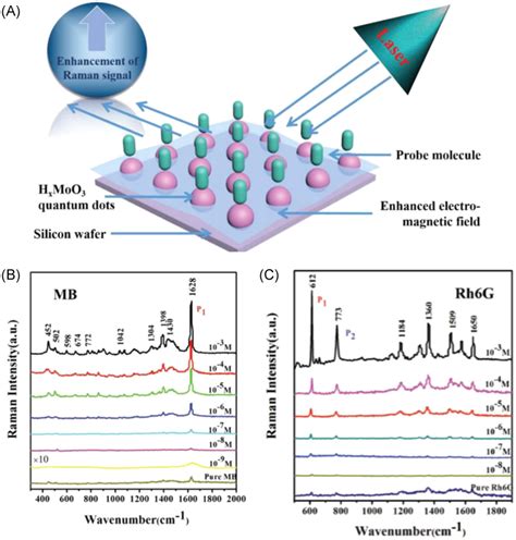 A Schematic Illustration Of Probe Molecules Sers Detection Using