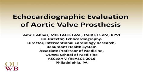 Pdf Echocardiographic Evaluation Of Aortic Valve