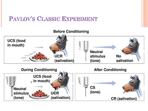 Learning Chapter Ppt Download