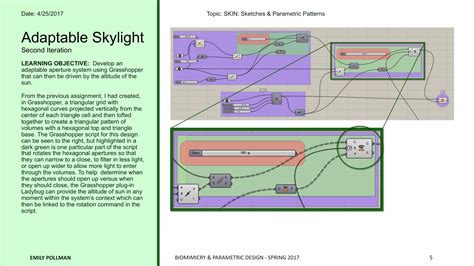 Assignment 1 Skin Form And Performance