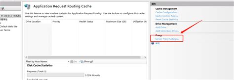 IIS配置代理转发到Apache或其他端口监听服务 love coder 博客园