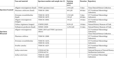 Extant Specimens And Staining Protocol Applied Download Scientific Diagram