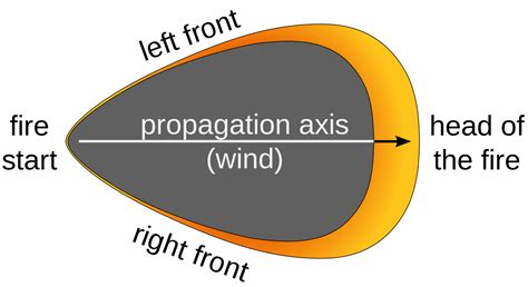 Forest Fire Wildfire