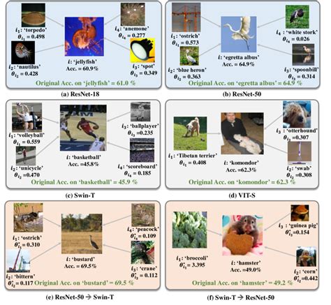 Neural Dependencies In Popular Multi Class Classification Networks