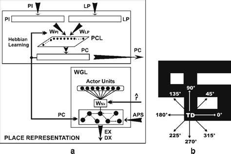 A The Place Representation Module Of The Spatial Cognition Model Download Scientific Diagram