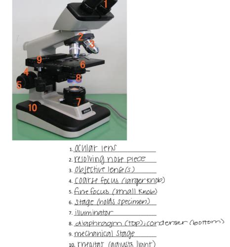 A P Unit Lab Exam Flashcards Quizlet A P Unit Lab Exam Flashcards Quizlet