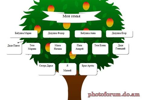 Как правильно составить древо семьи образец схема с описанием и фото