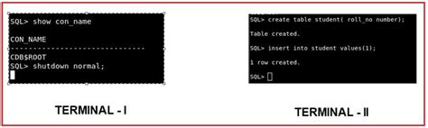 how to shutdown oracle database dot net tutorials