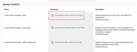 Oracle 注入bypass总结(艰难的心路历程)oracle注入getshell Csdn博客 Oracle 注入bypass总结(艰难的心路历程)oracle注入getshell Csdn博客