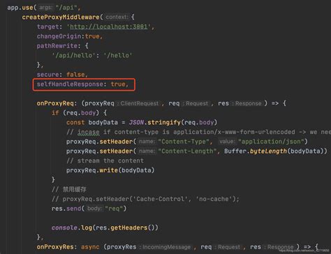 Proxy Middlewarecreateproxymiddleware Csdn博客 Proxy Middlewarecreateproxymiddleware Csdn博客