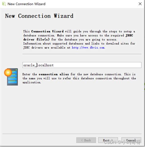 Dbvisualizer连接本机oracle数据库dbvisualizer连接oracle Csdn博客