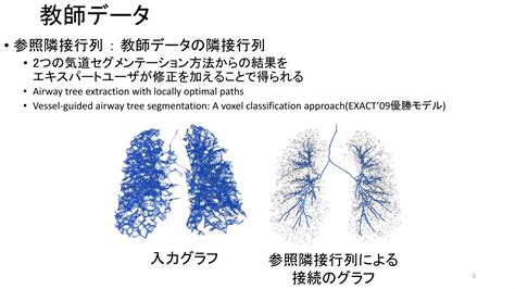graph refinement based tree extraction using mean field networks and