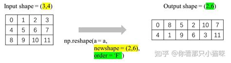 numpy reshape 函数 知乎