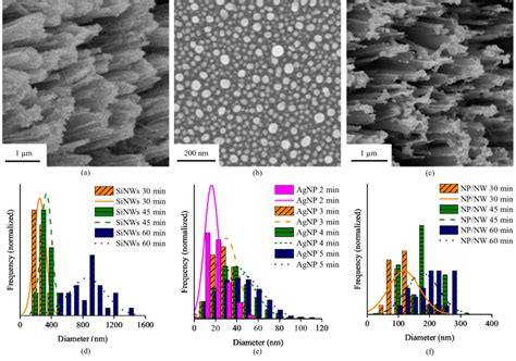 Fabricated Nanostructures A 45° Tilted Sem Image Of Silicon