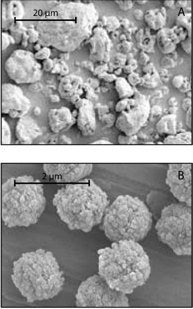 Figure 1 From Powering Reliability For Nucleic Acid Capture Semantic