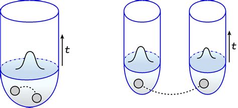 Schematic Illustration Of The Setup The Euclidean Path Integral For