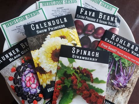 Cross Pollination Barrier Bags Crazy For Gardening