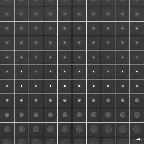 A Point Spread Function Psf Image Acquired Using Fluorescent Microbeads Download Scientific