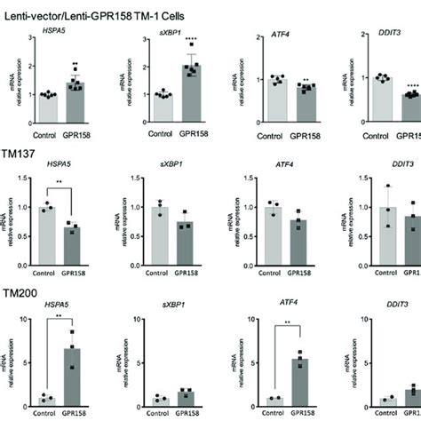 Gpr158 Overexpression Regulates The Upr In Trabecular Meshwork Cells