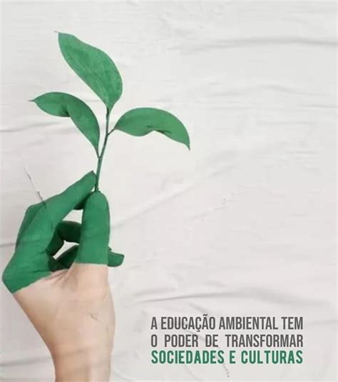 A Educação Ambiental Tem O Poder De Transformar Sociedades E Culturas