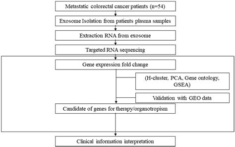 Identification Of Biomarkers Associated With Liver Metastasis Progression From Colorectal Cancer