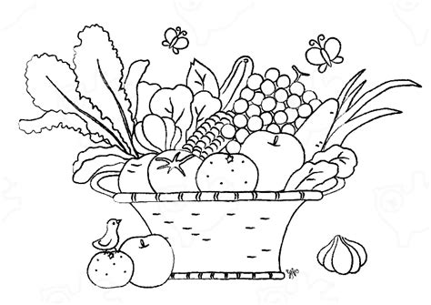 채소와 과일바구니 일러팝 네이버 Ogq마켓