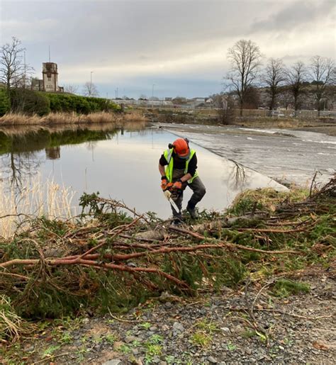 Mitigating Ecological And Environmental Impact Best Practice Hub