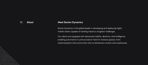 Boston Dynamics Branding And Website Redesign Behance