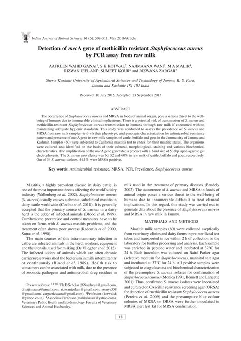 Pdf Detection Of Meca Gene Of Methicillin Resistant Staphylococcus Aureus By Pcr Assay From